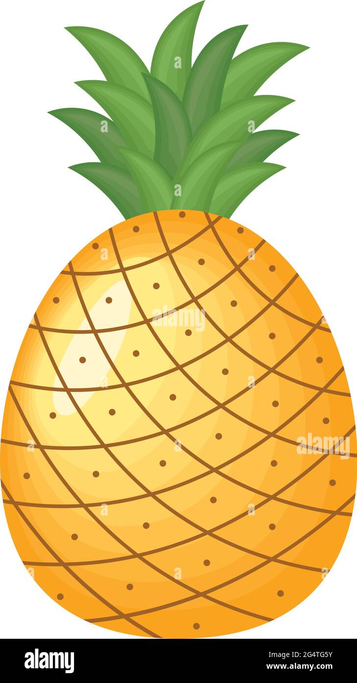 pineapple fruit, healthy organic food Stock Vector Image & Art - Alamy