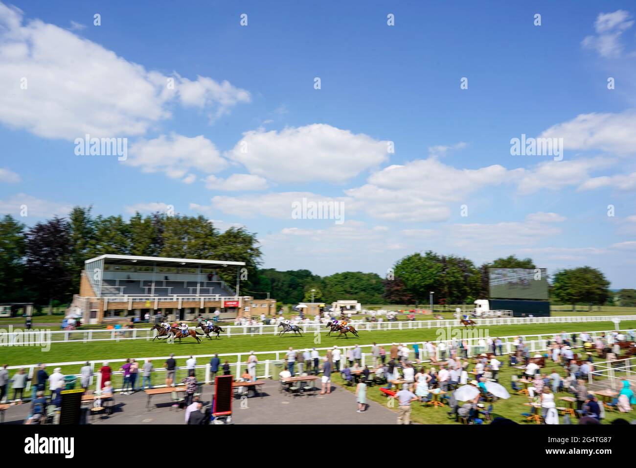Pleasant man horse hi-res stock photography and images - Alamy