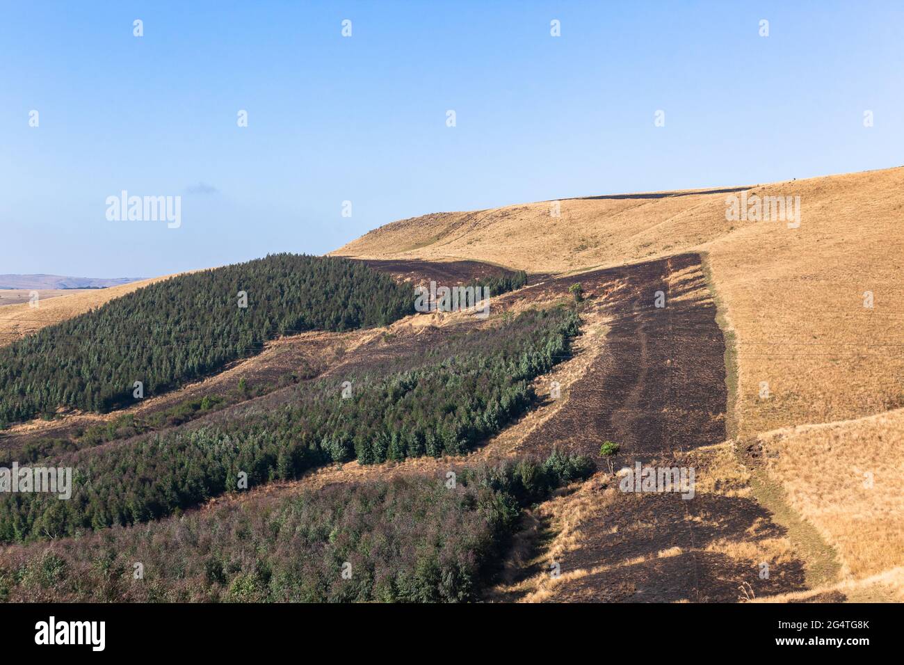 Forestry fire break hi-res stock photography and images - Alamy