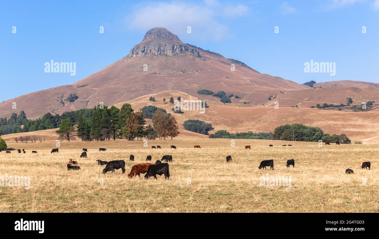 Farming route hi-res stock photography and images - Alamy