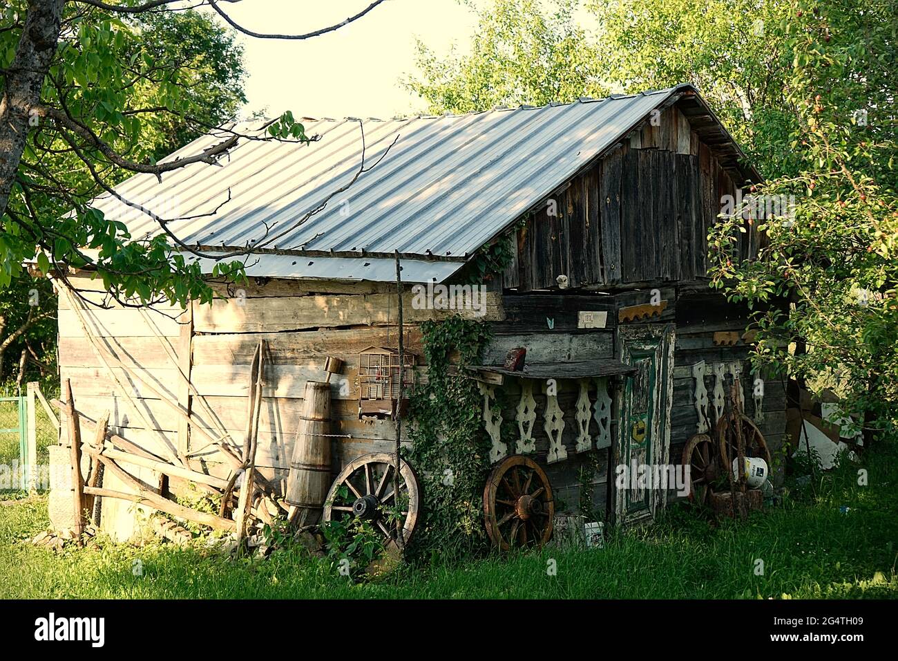 Wooden Hut Trees In Forest Architecture High Resolution Stock ...