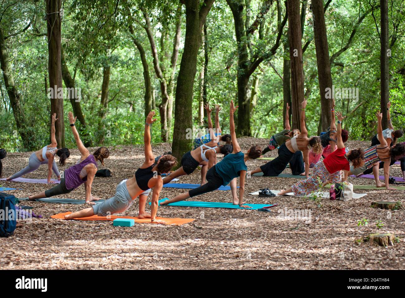 Doing yoga in the woods. Women in harmony with nature Stock Photo - Alamy