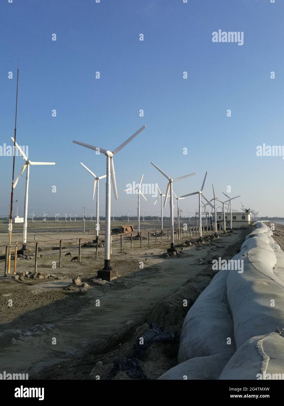 Vertical shot of a row of white windmills on a beach with a blue sky ...