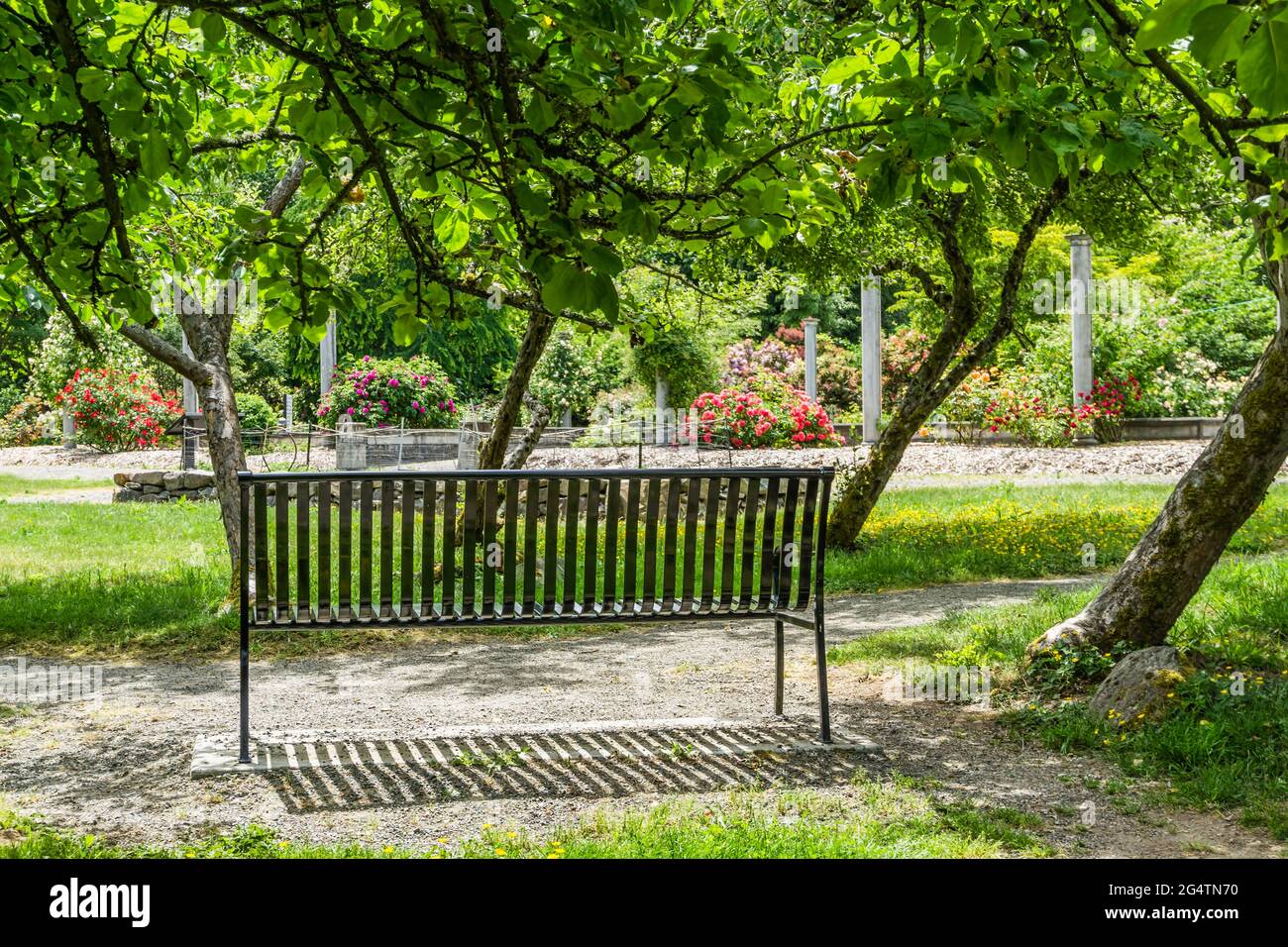 A bench under trees and a garden in Seatac, Washington Stock Photo - Alamy