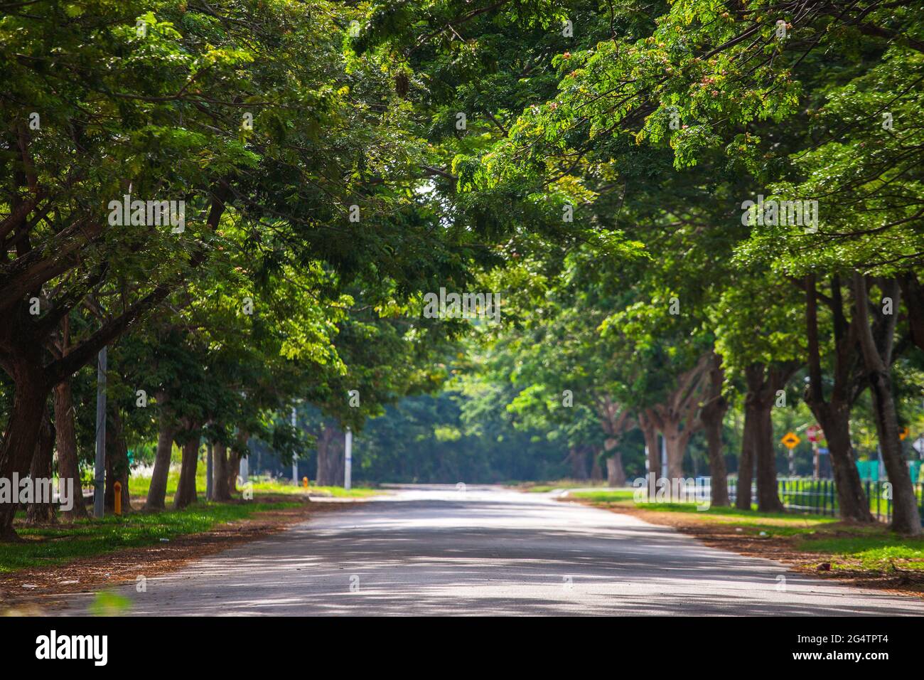 Shady Road High Resolution Stock Photography and Images - Alamy