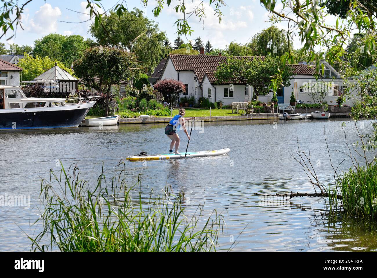A young woman paddle boarding on the River Thames by Pharaohs Island on ...