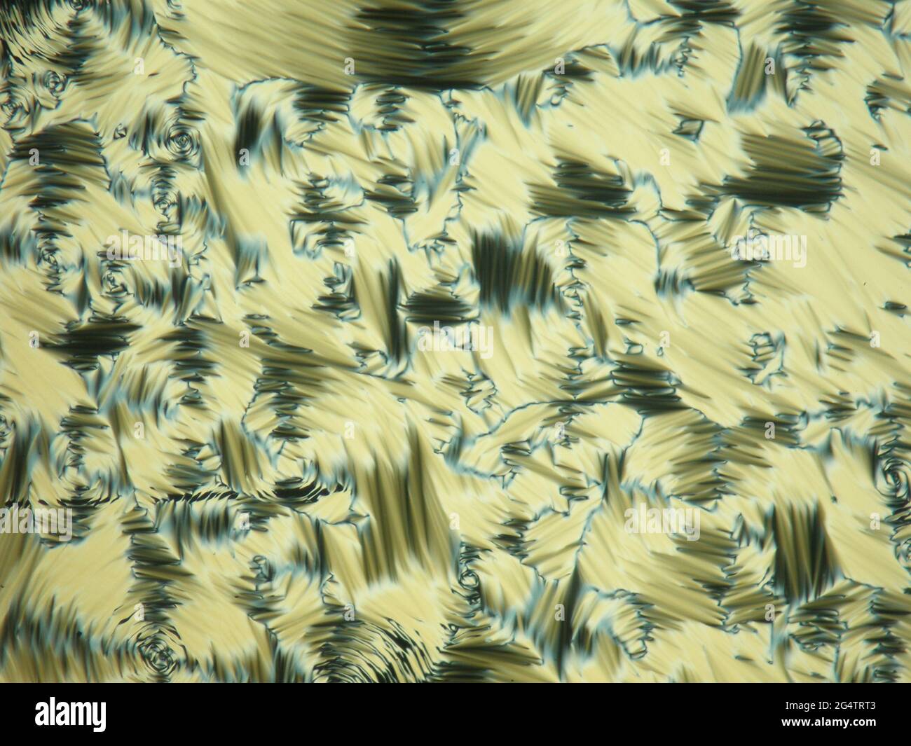 Polarized light microscopy hi-res stock photography and images - Alamy