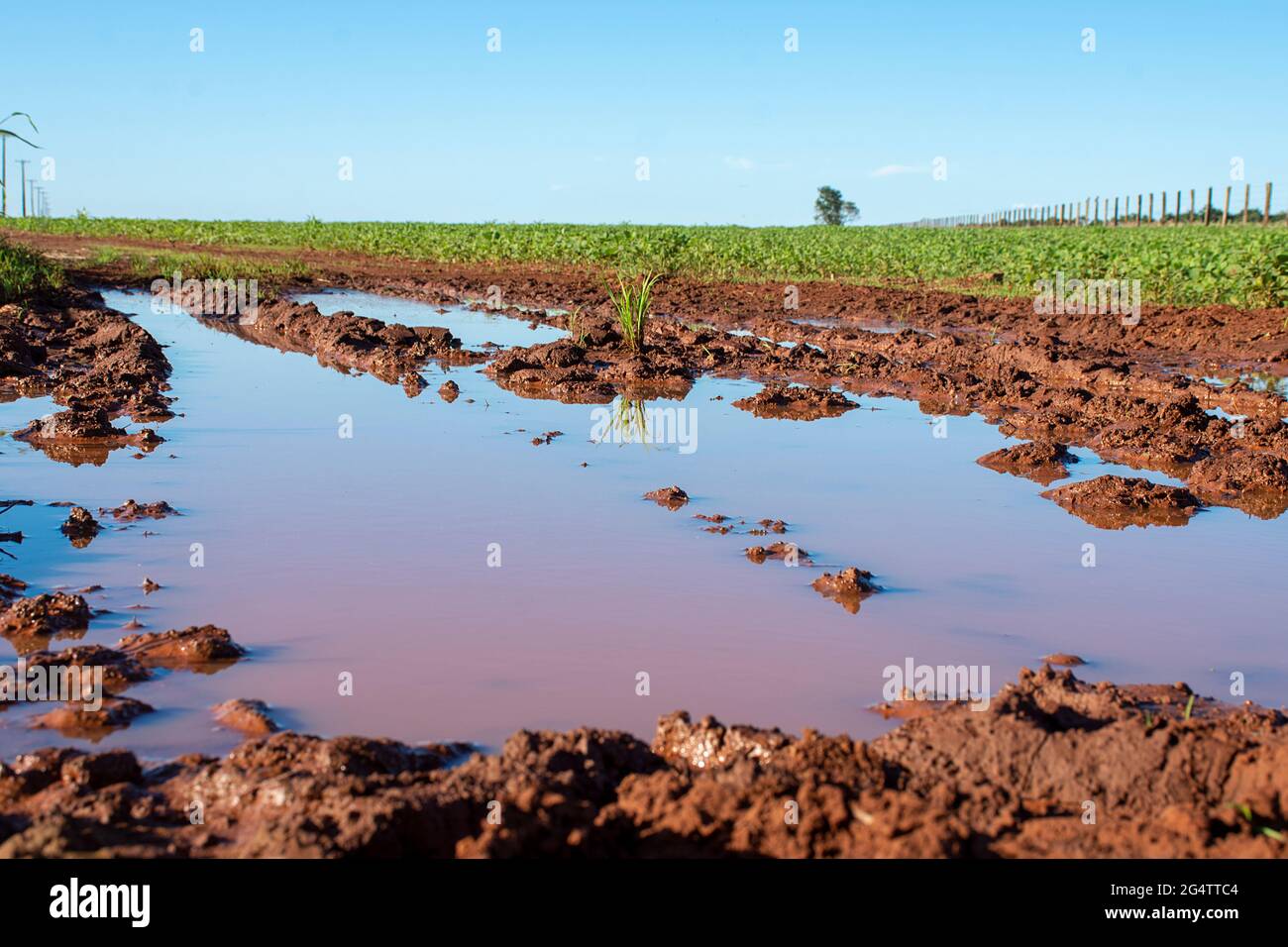 puddle full of mud on the road on the farm in Mato Grosso do Sul ...