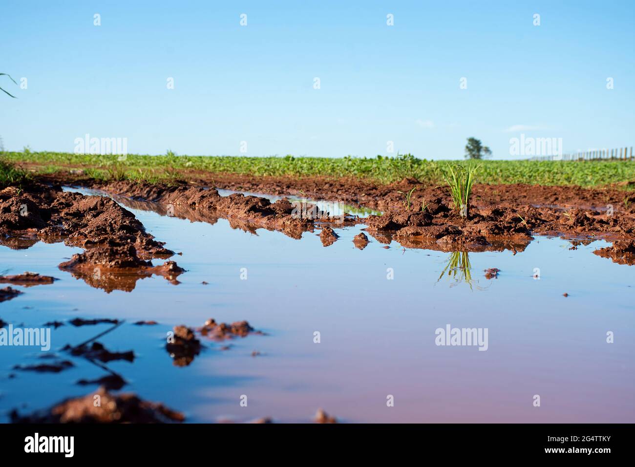 puddle full of mud on the road on the farm in Mato Grosso do Sul ...
