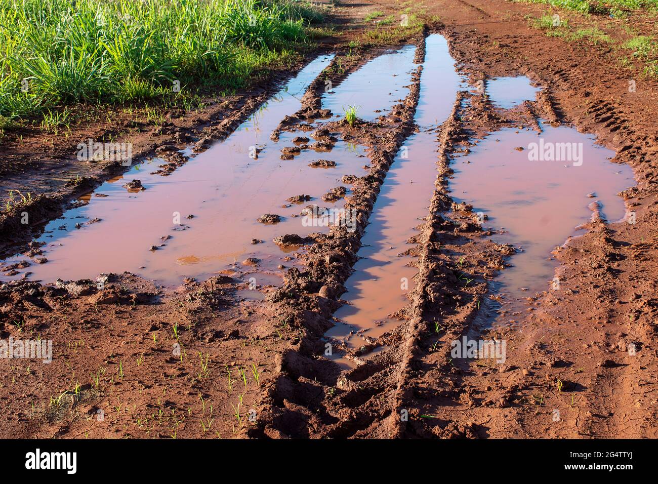 puddle full of mud on the road on the farm in Mato Grosso do Sul ...