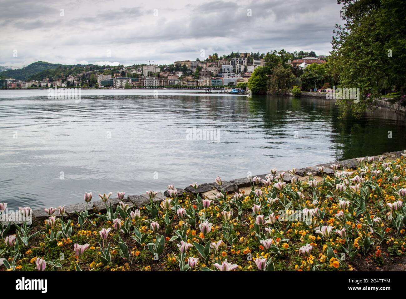 Park next to lake at Lugano (Parco civico), Switzerland Stock Photo - Alamy