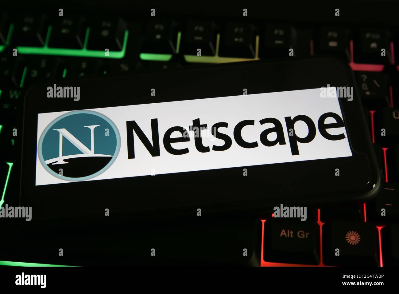 Netscape Browser Logo