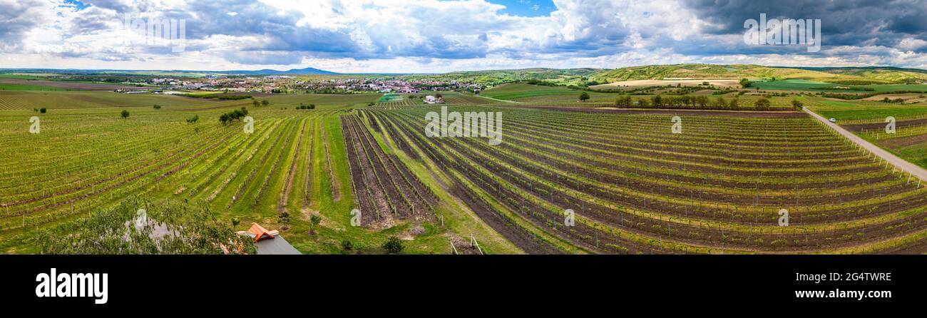 Countryside of southern Moravia, with vineyards, Czech Republic Stock ...