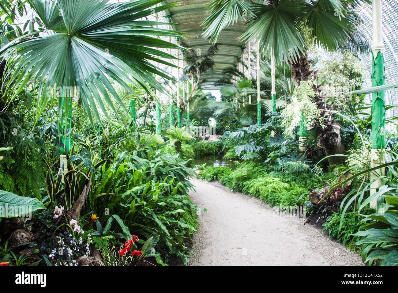 Plants inside a historic greenhouse at chateau Lednice in southern ...