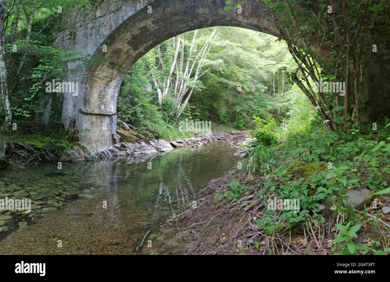 ancient Roman bridge over stream, hidden in the forest, Tuscany, Italy ...