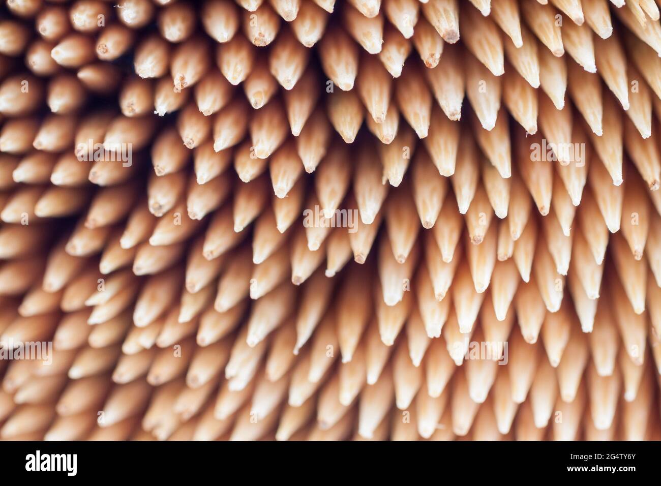 Toothpicks macro abstract hi-res stock photography and images - Alamy