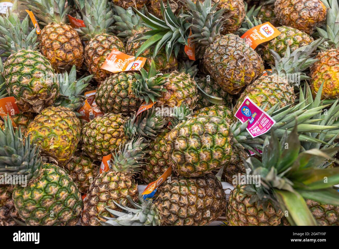 Pineapple factory hi-res stock photography and images - Alamy