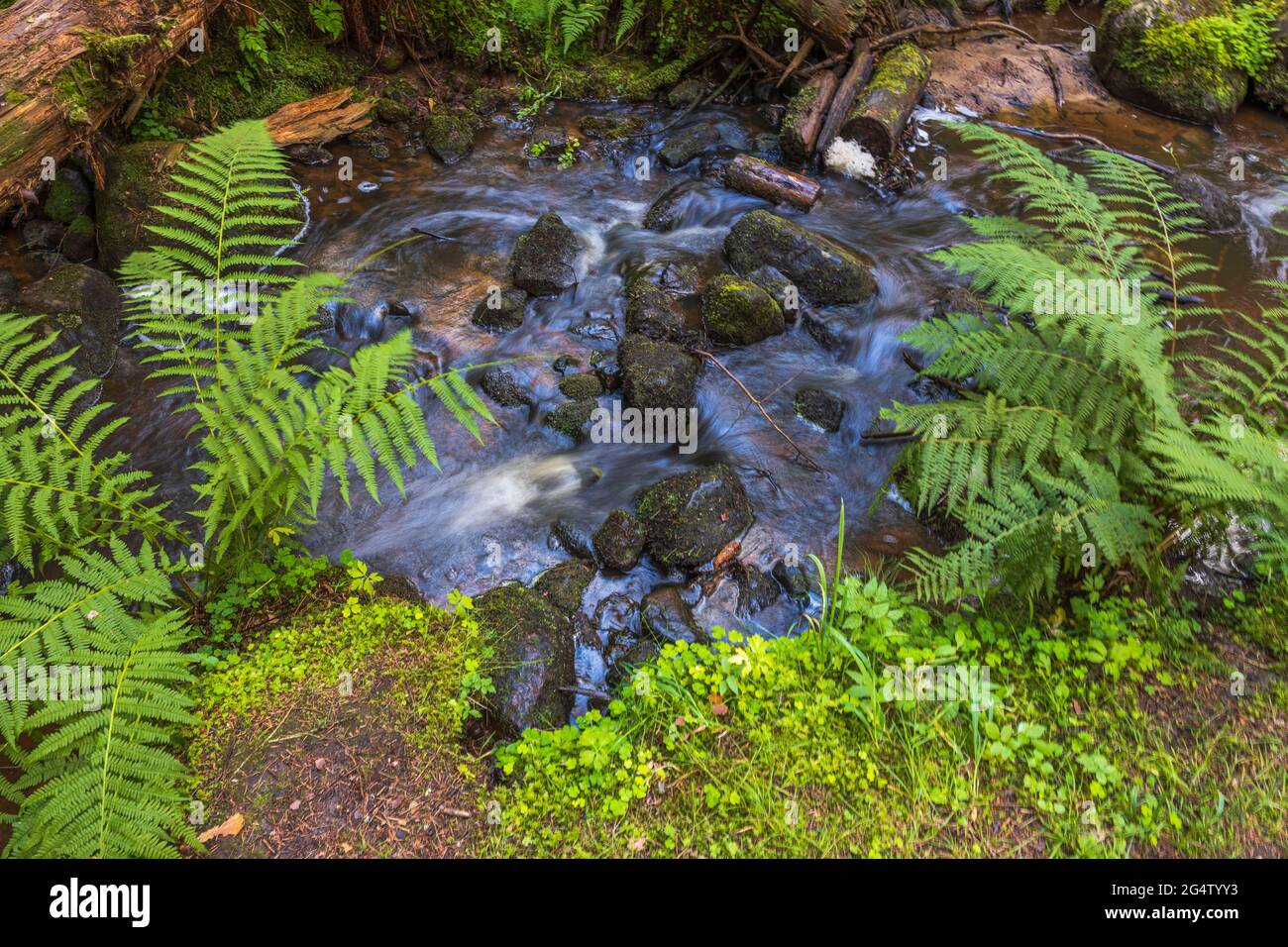 Beautiful nature landscape view with water streaming over rocks. Sweden ...