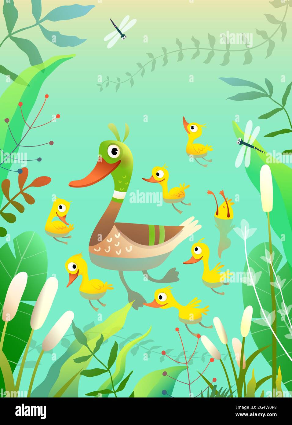 Swamp duck Stock Vector Images - Alamy