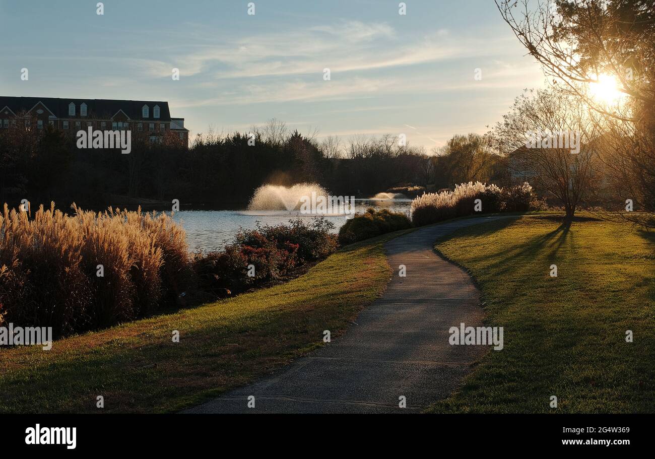 Photography shadows hi-res stock photography and images - Alamy