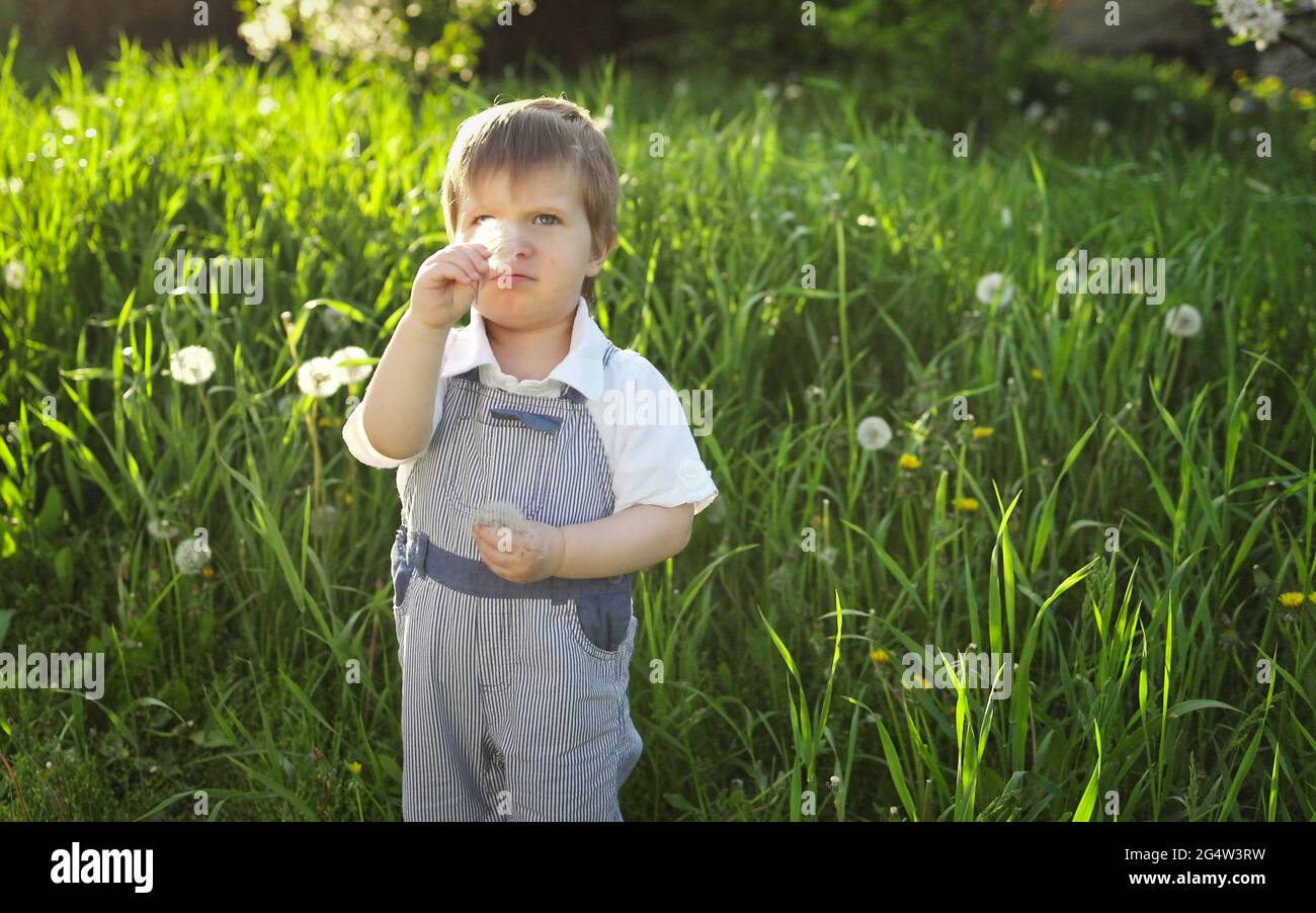 Brother and sister have fun playing with blooming white yellow and ...