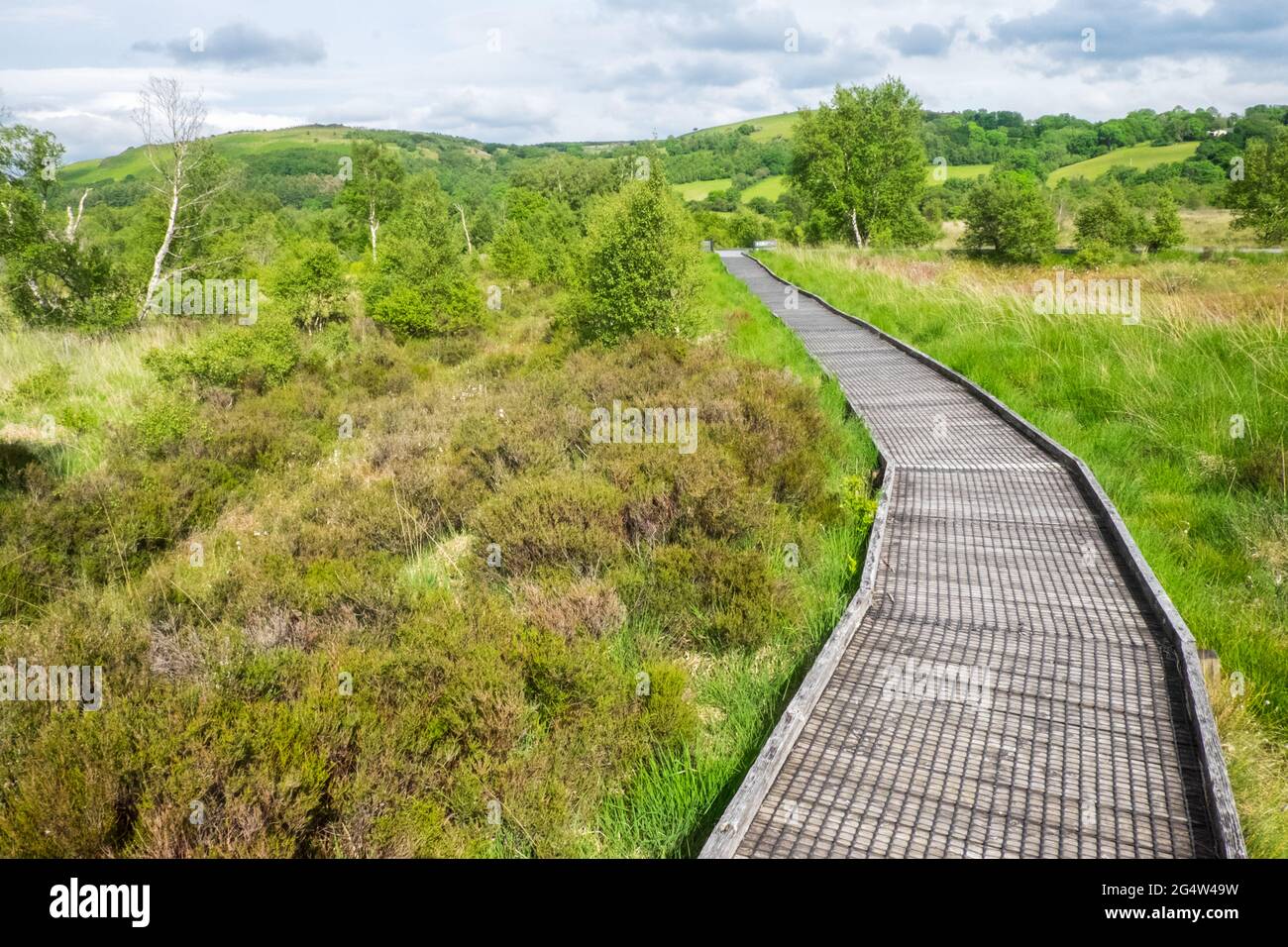Cors Caron is a raised bog in Ceredigion, Wales. Cors is the Welsh word ...