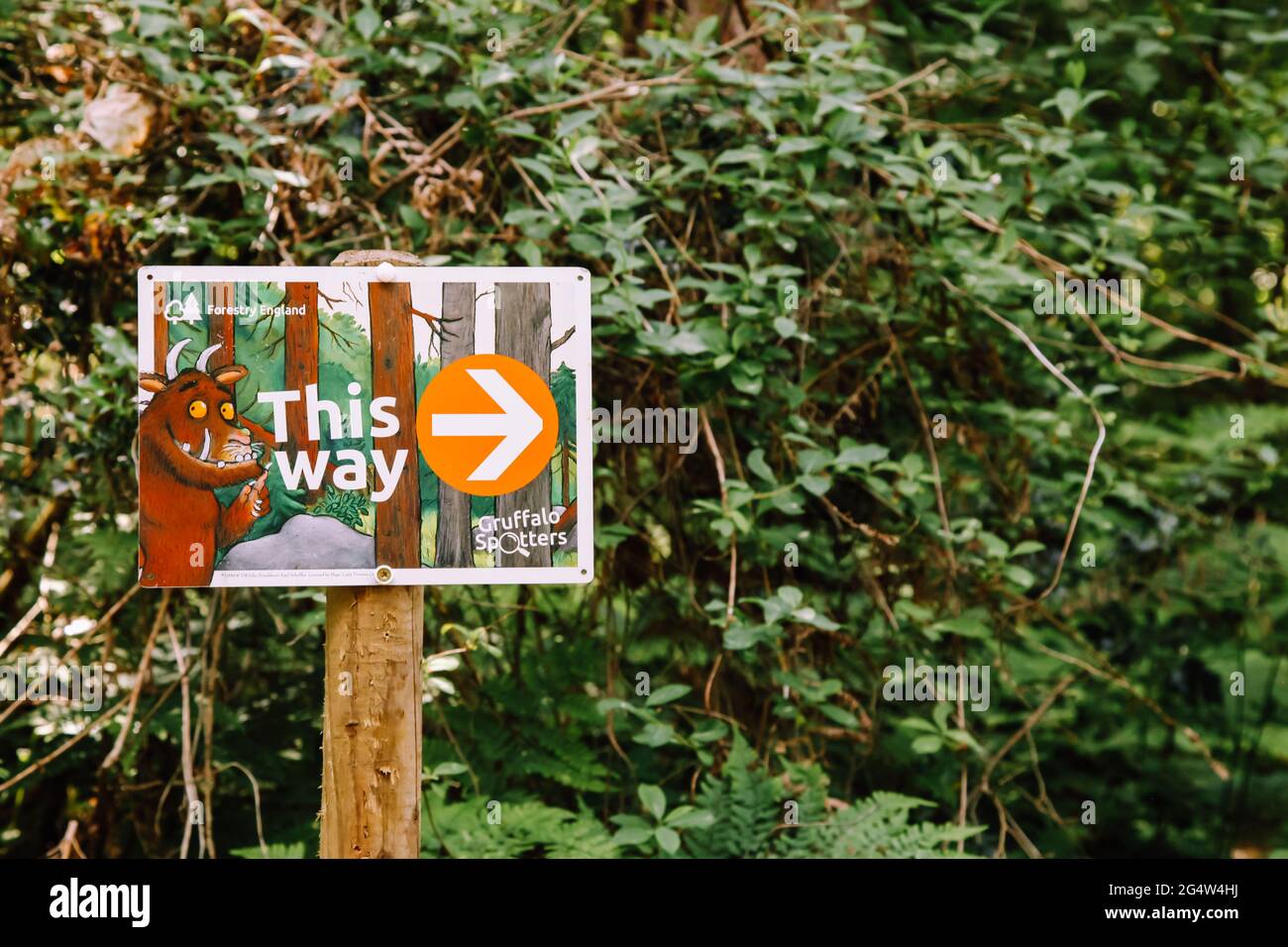 Gruffalo trail woodland hi-res stock photography and images - Alamy