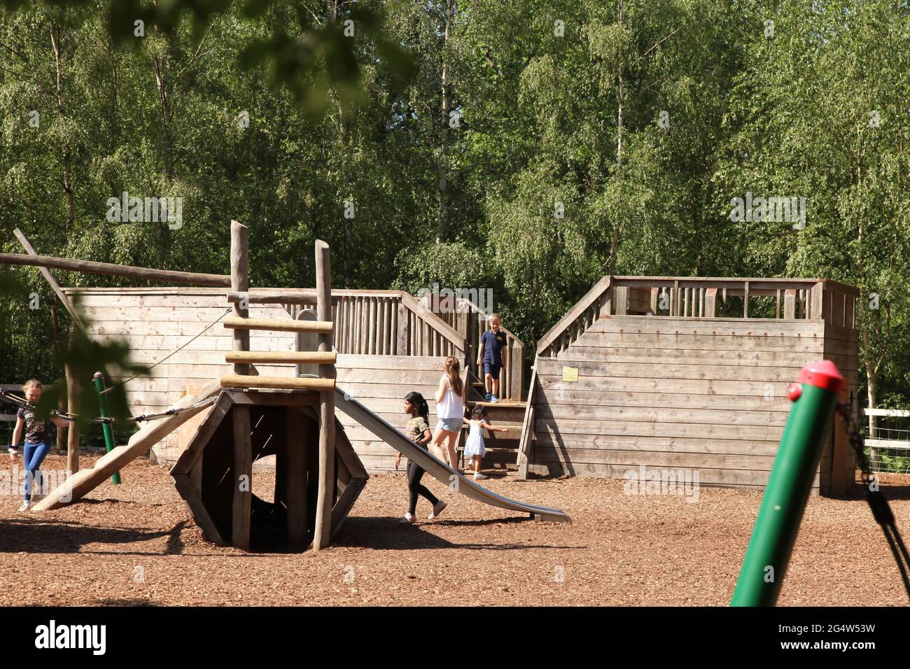 Alice holt forest hi-res stock photography and images - Alamy