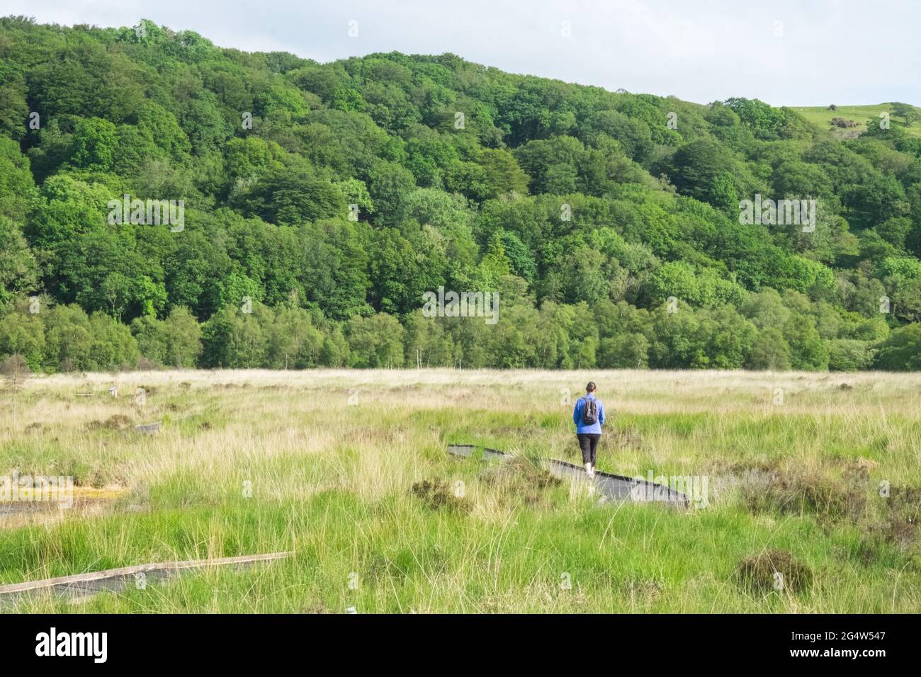 Cors Caron is a raised bog in Ceredigion, Wales. Cors is the Welsh word ...