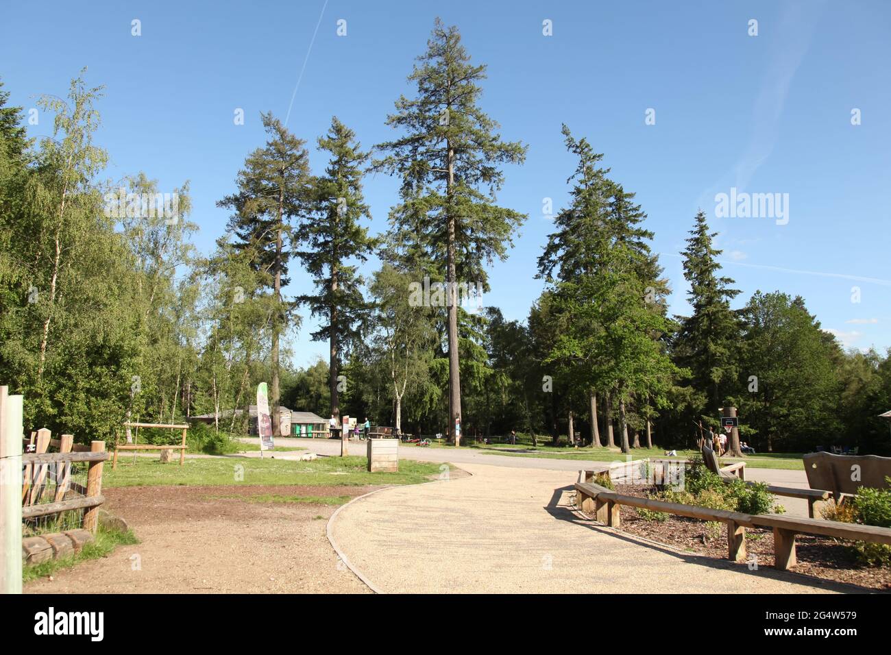 Alice holt forest park hi-res stock photography and images - Alamy