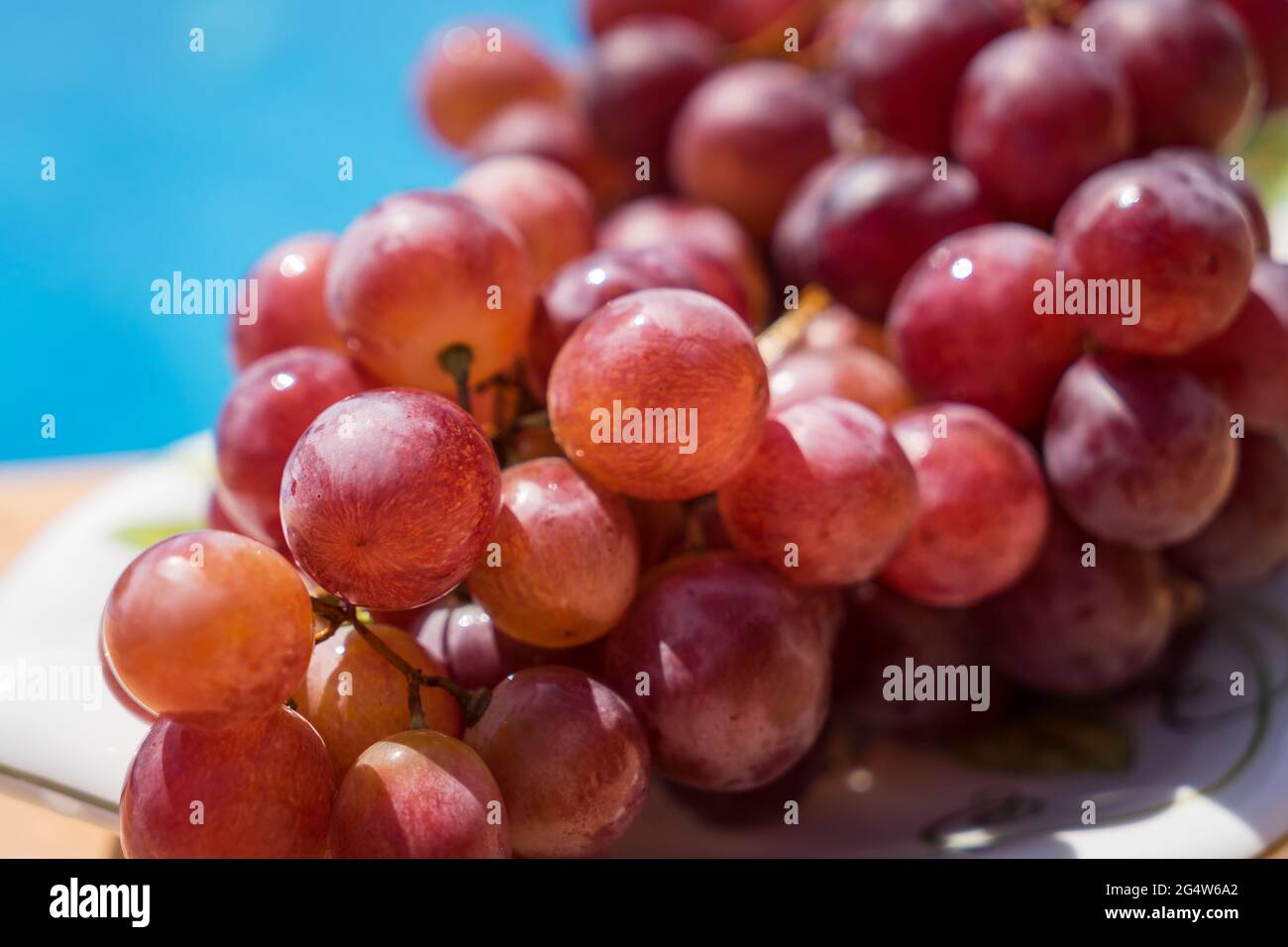 sweet grapes in the mediterranean summer sun by the pool Stock Photo ...