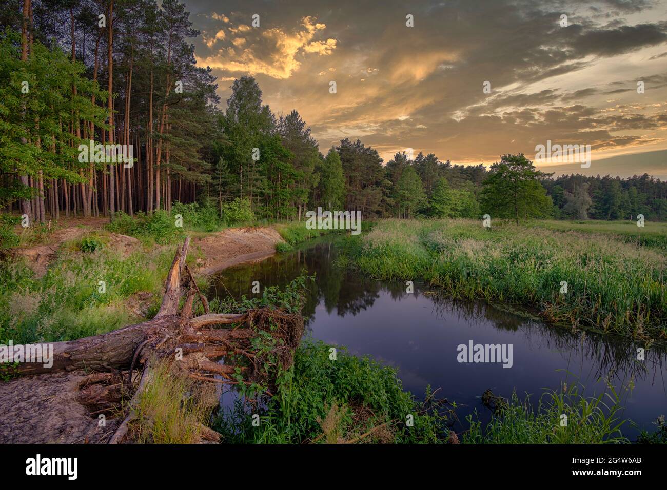 A small and wildly flowing river Stock Photo - Alamy