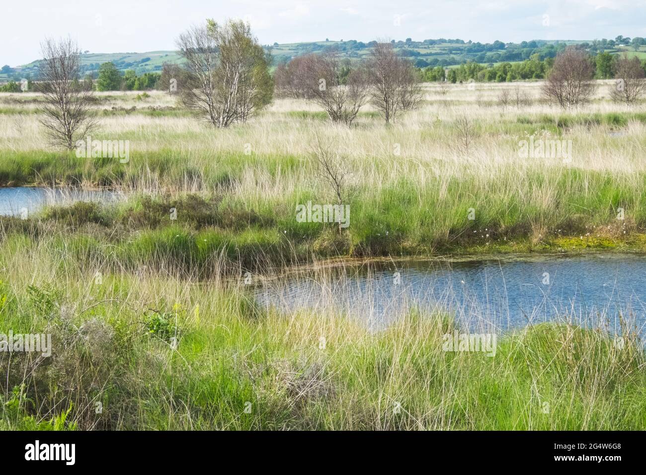 Cors Caron is a raised bog in Ceredigion, Wales. Cors is the Welsh word ...