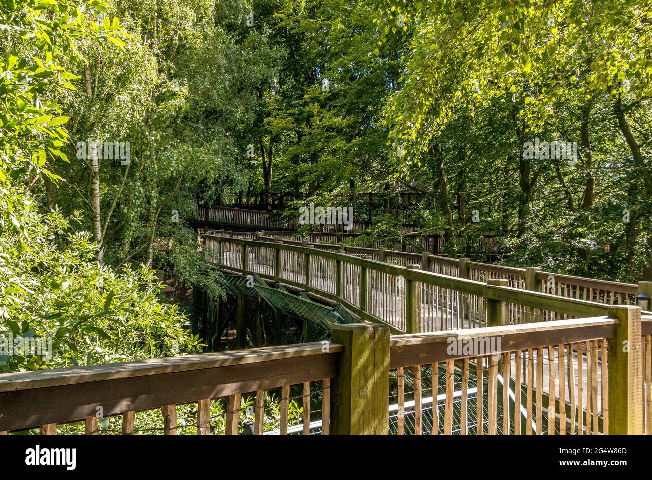 Long wooden bridge with railings, large trees Stock Photo - Alamy