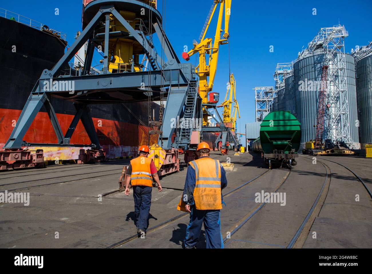 Panamax bulk carrier loaded with wheat. Ship at grain terminal. Port ...