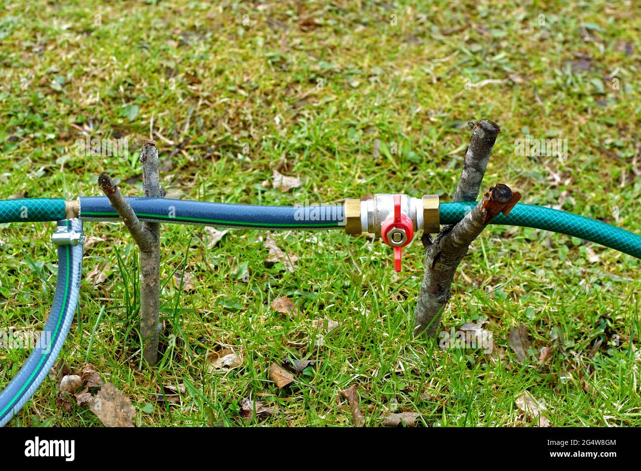 Water tap with a red handle connecting two hoses. Homemade plumbing at ...