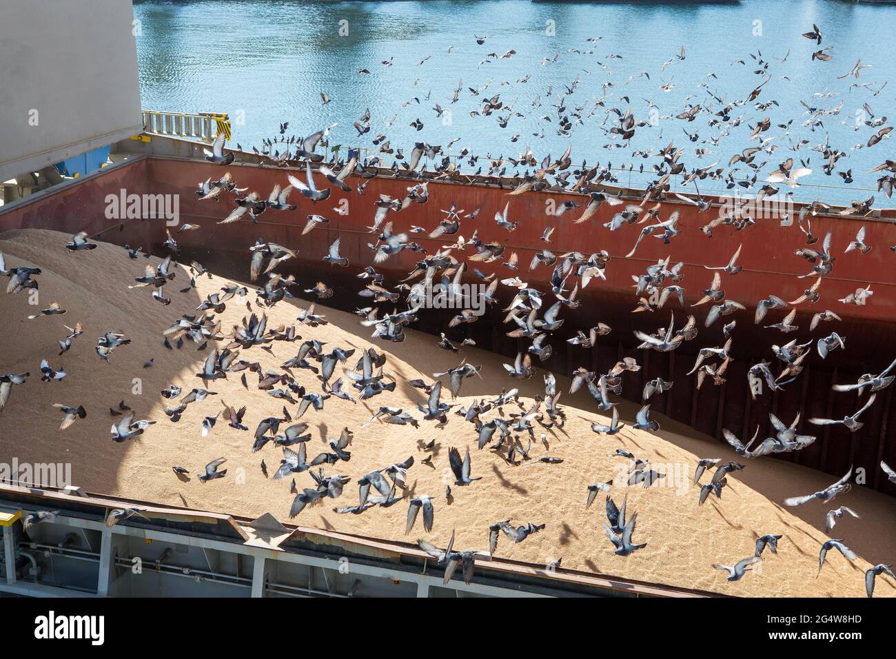 Grain carrier tanker hi-res stock photography and images - Alamy