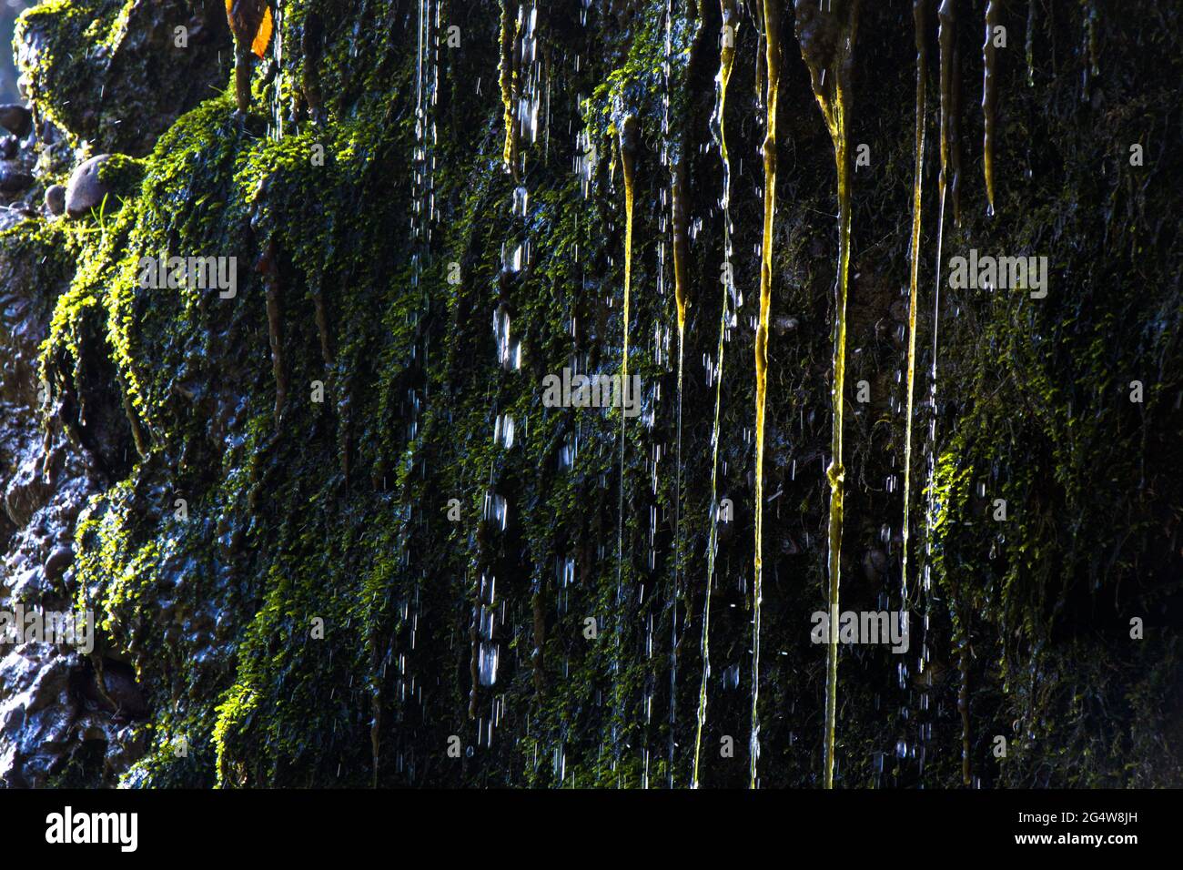 Water cliffs moss close hi-res stock photography and images - Alamy