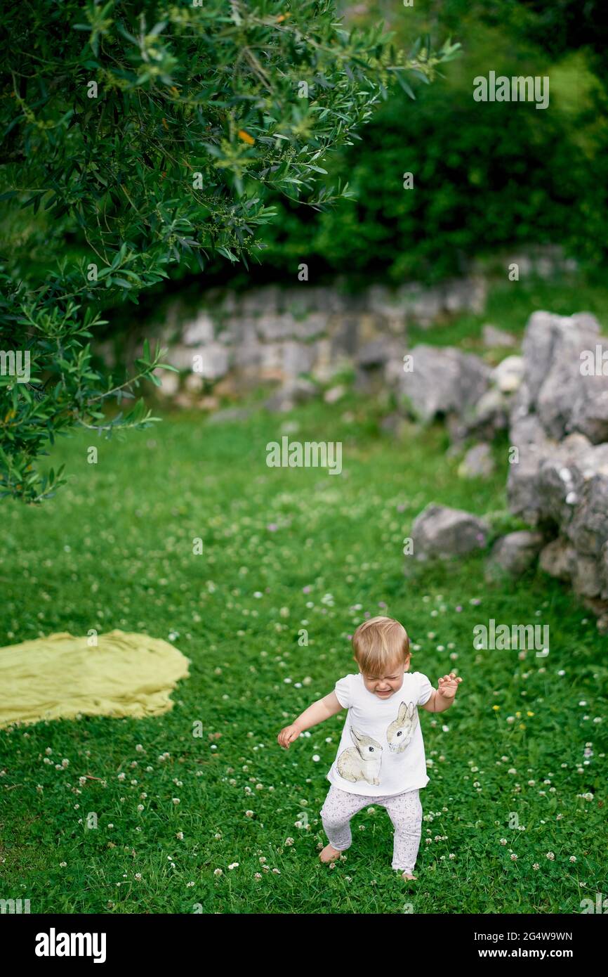 Whimpering hi-res stock photography and images - Alamy