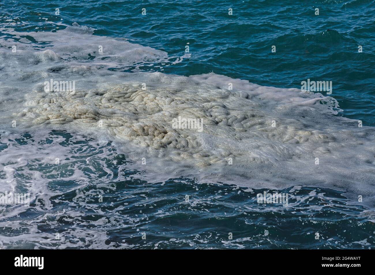 Turkey sea snot hi-res stock photography and images - Alamy
