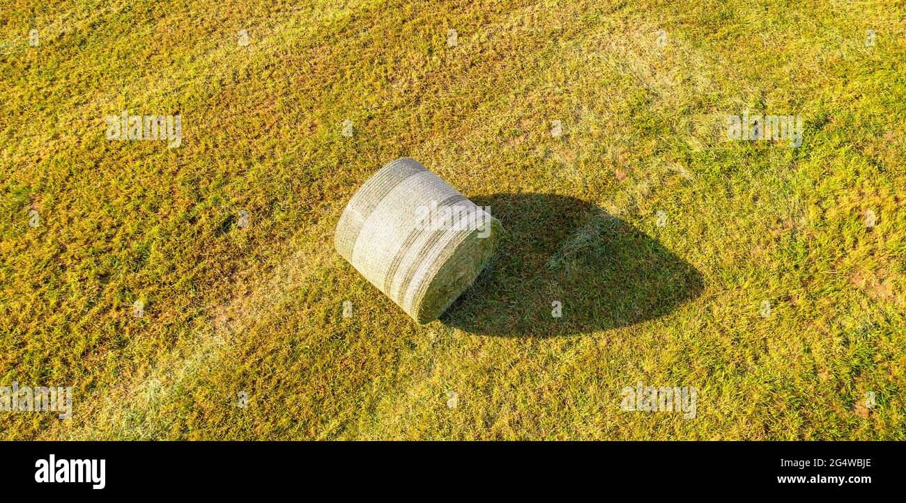a bale of hay from above panorama Stock Photo - Alamy