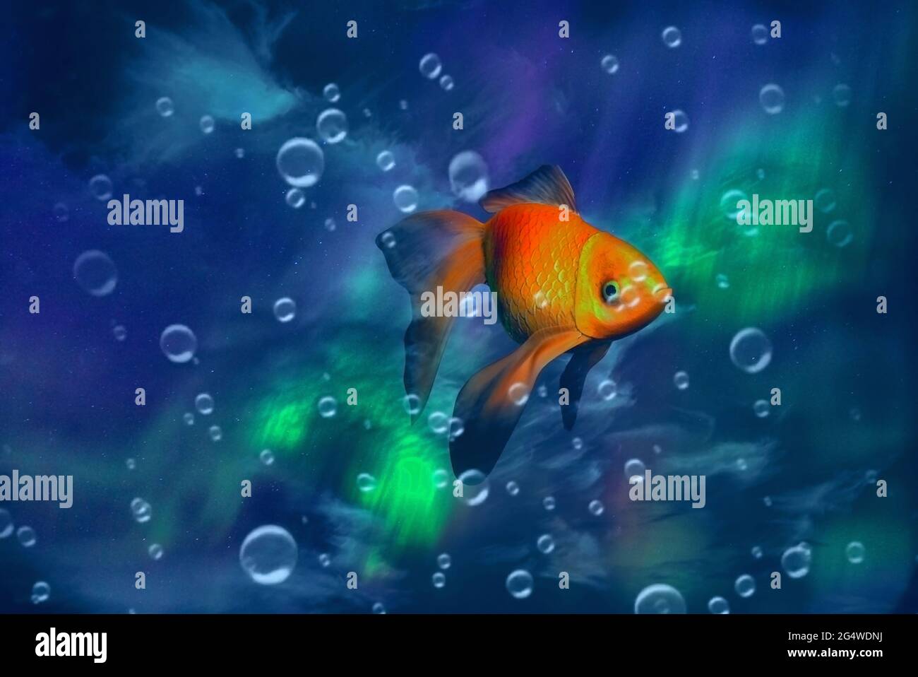 Goldfish 3d rendering hi-res stock photography and images - Alamy