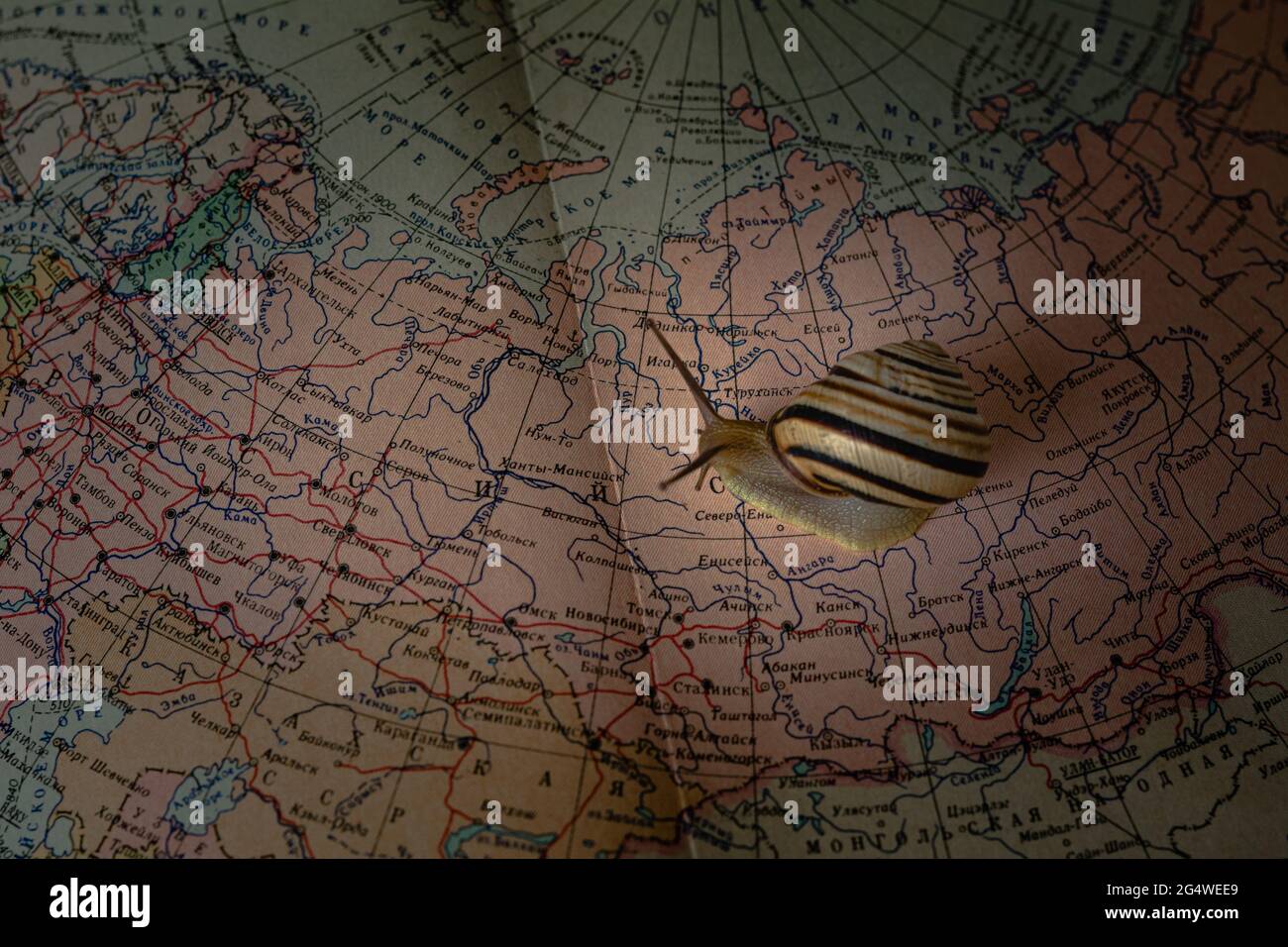 Little snail crawling across the world map Stock Photo - Alamy