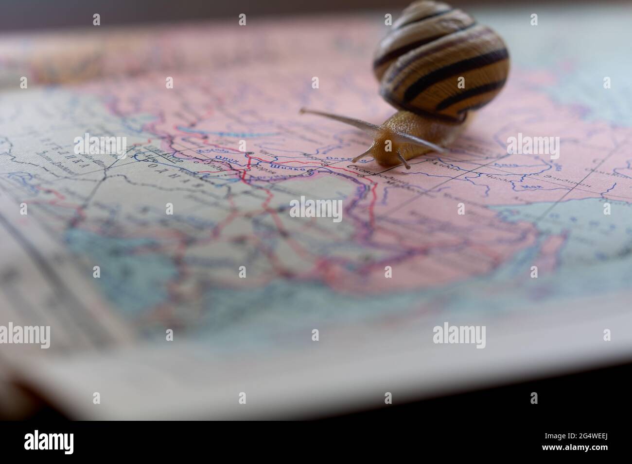 Little snail crawling across the world map Stock Photo - Alamy