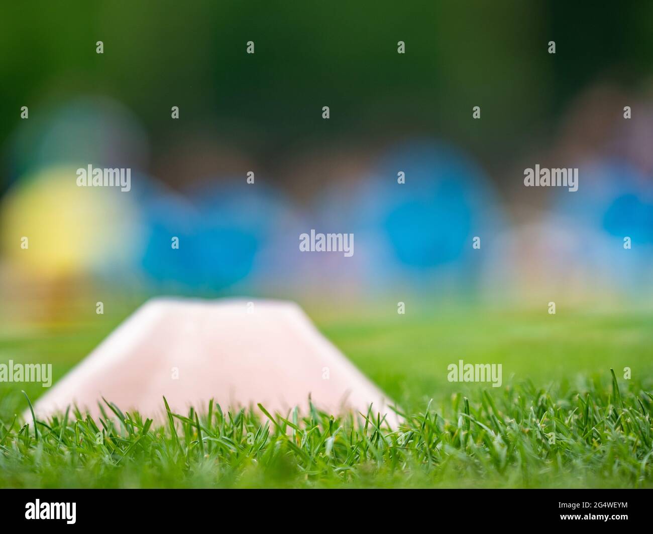 Football turf detail while Soccer Team Training on Soccer Stadium ...