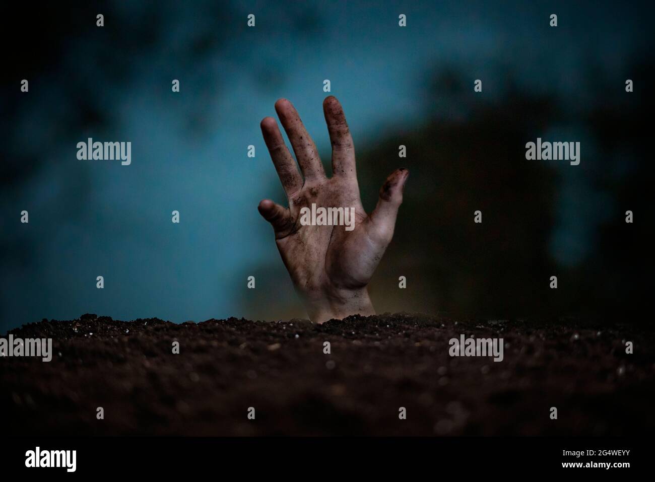 dirty person zombie dead man hand raise from the soil ground, horror ...
