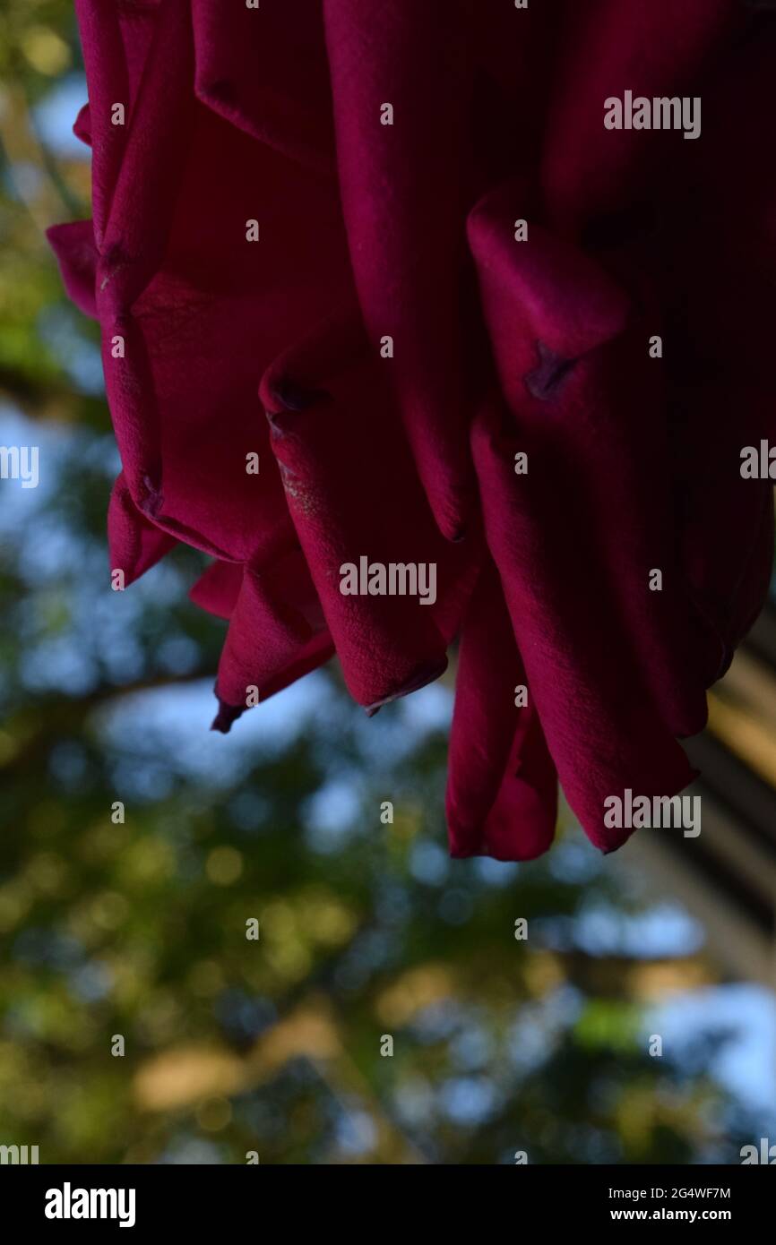 Unusual View Point High Resolution Stock Photography and Images - Alamy