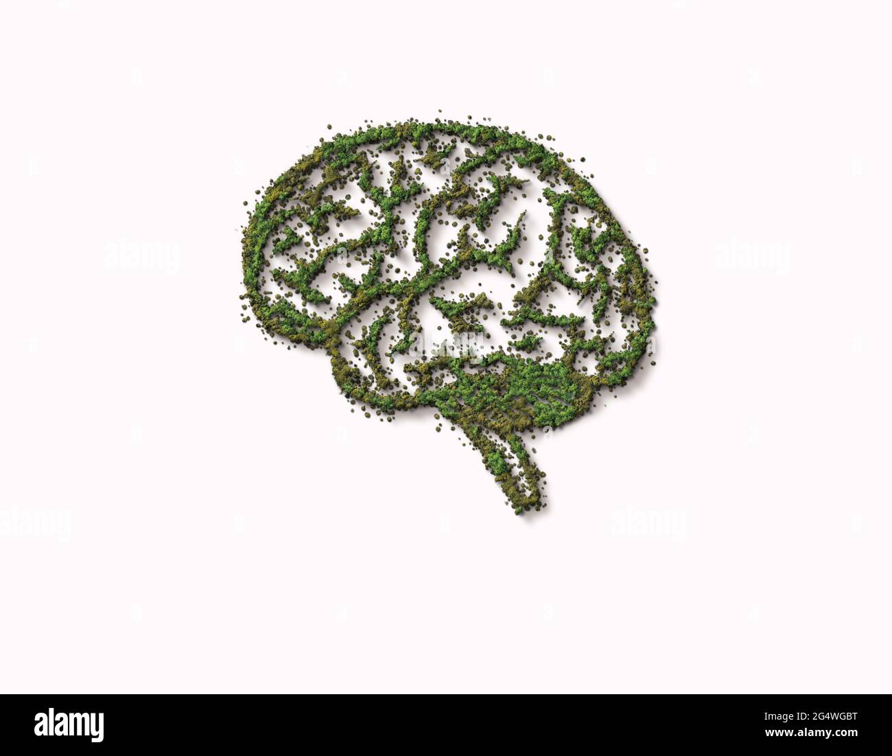 3D human brain is covered with green forest. Think Green Concept. Wild ...