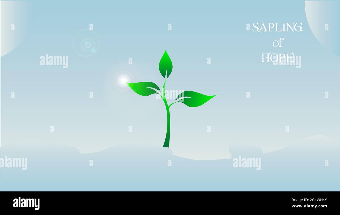 Sapling of hope in ligthy bluesky Stock Photo - Alamy