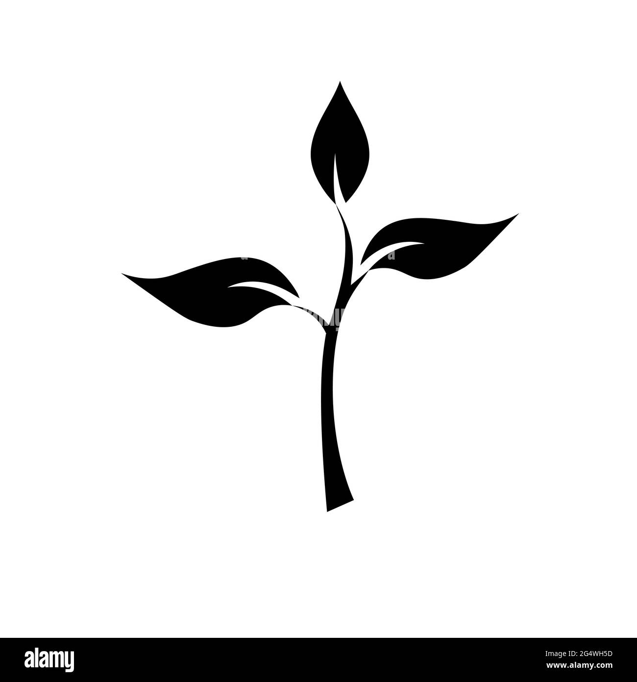 Sapling on the ground, Green Young tree, Plant sapling growing green ...